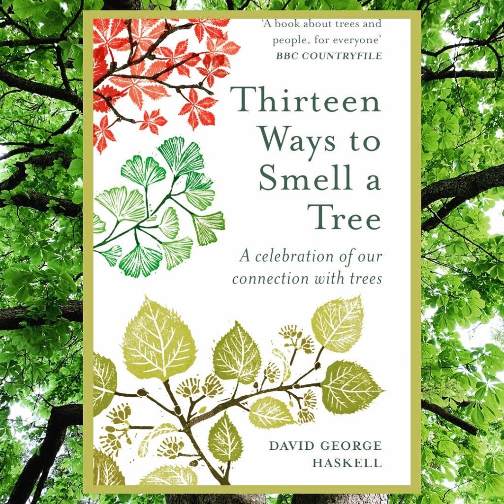 Thirteen ways to smell a tree